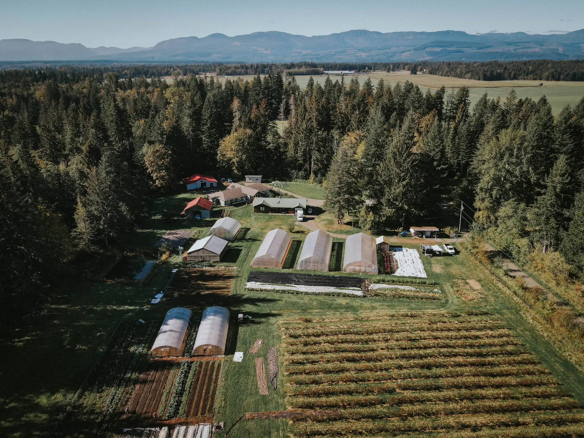 How to Build a Local Farming Food Hub - Magic Canoe