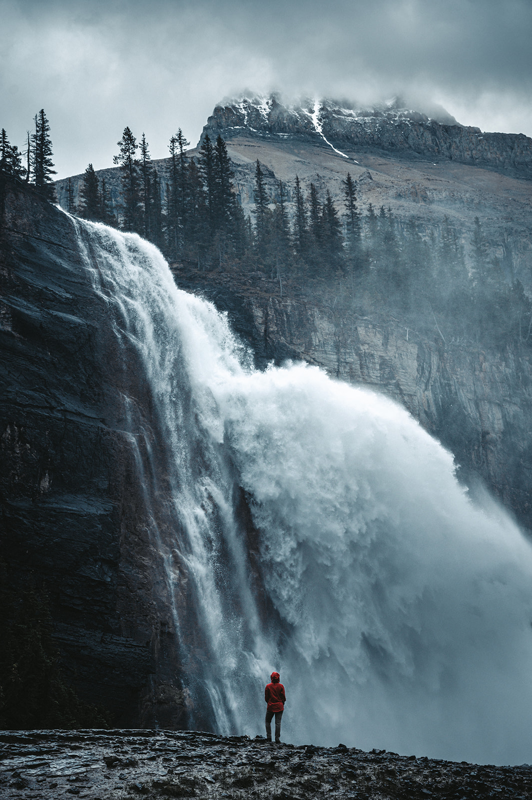 What is Salmon Nation? - Magic Canoe